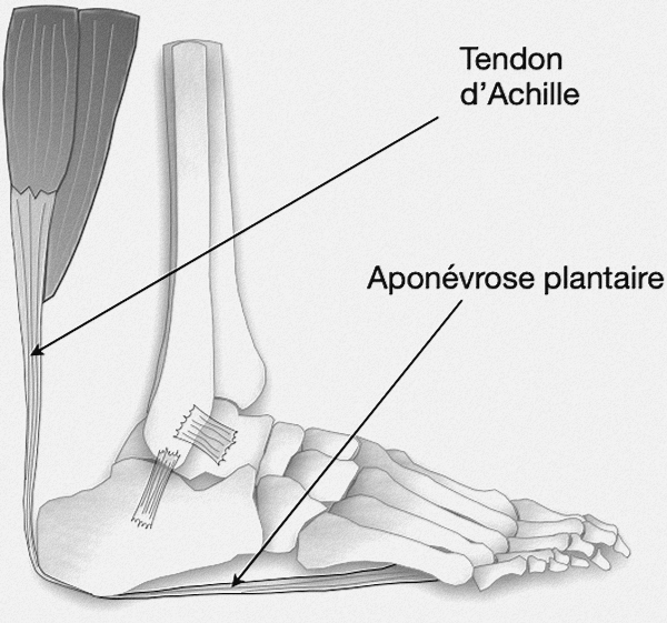 Aponévrose – Tiandi