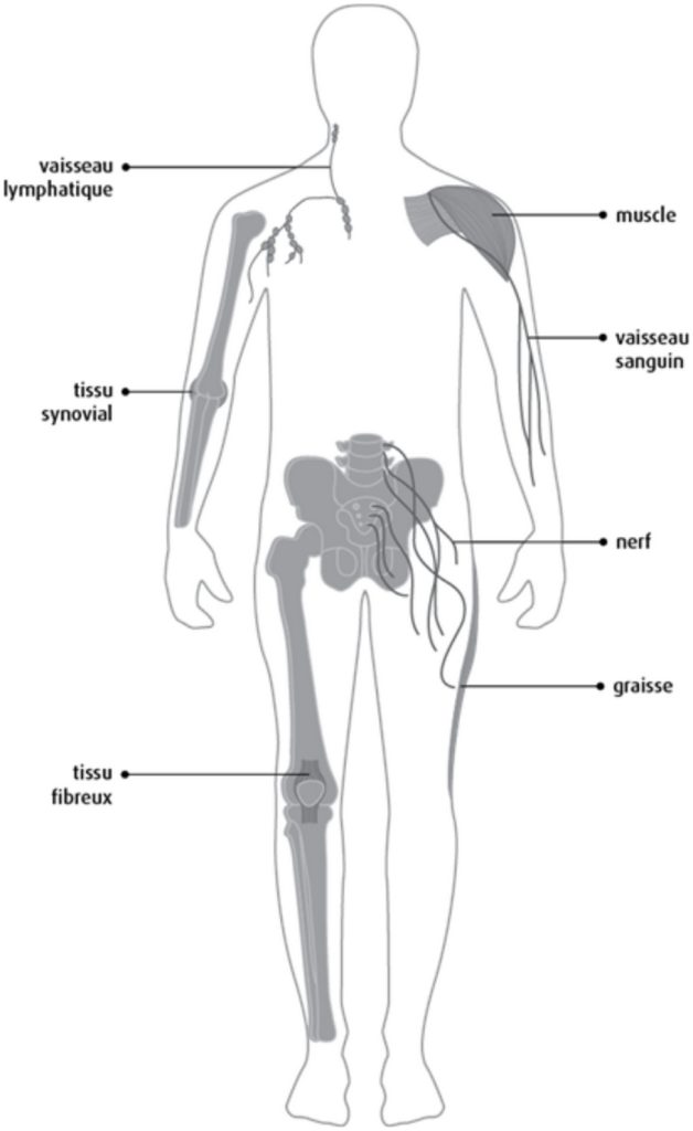 Ce que vous pratiquez, vous le devenez – Tiandi